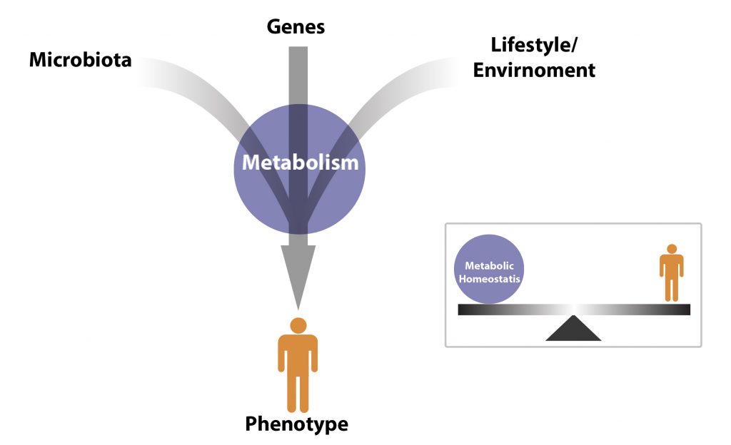 Metabolomics for Early Stage Cancer Detection Technology